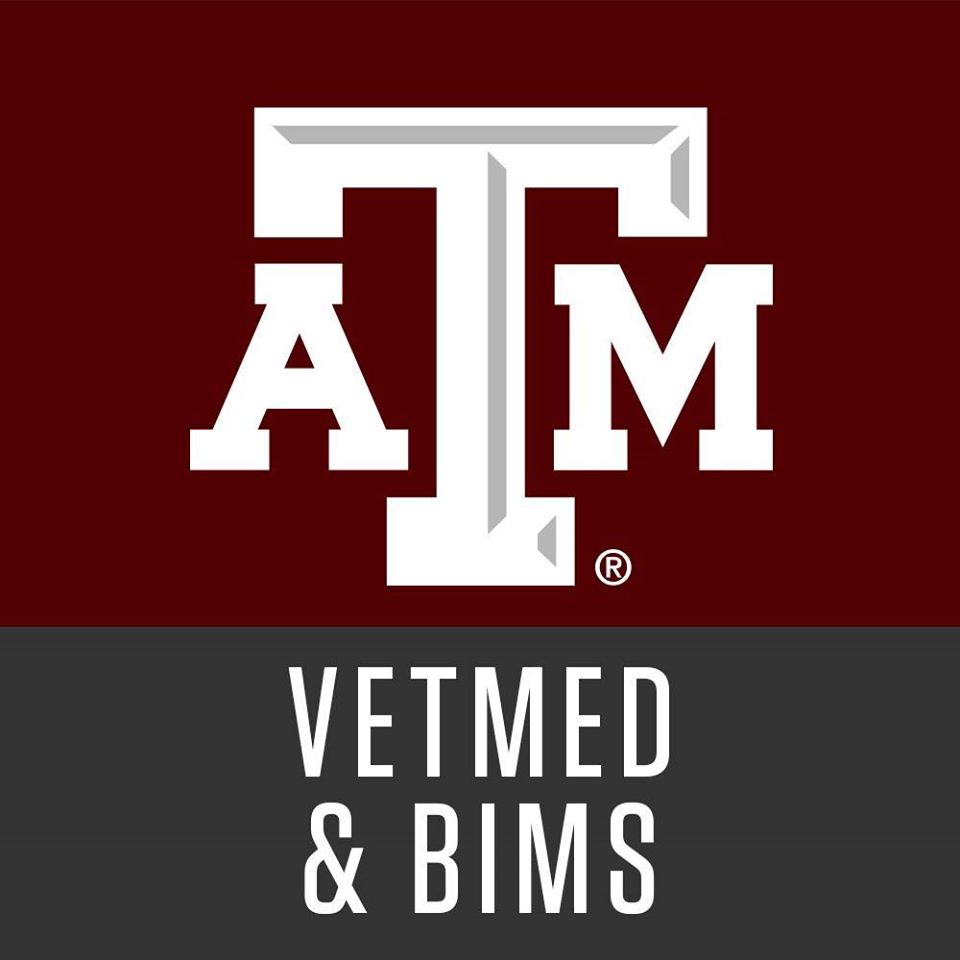 Texas A M College Of Veterinary Medicine Dr Marty Becker Texas A M College Of Veterinary Medicine Dr Marty Becker